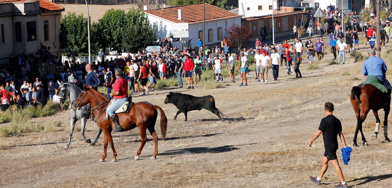 Fotos: Encierro en Arrabal de Portillo | El Norte de Castilla