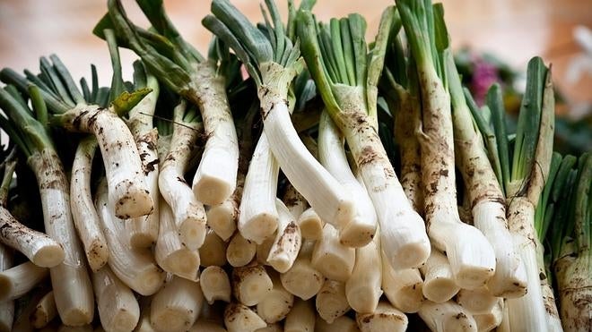 Calçots, descubre por fin qué son | El Norte de Castilla